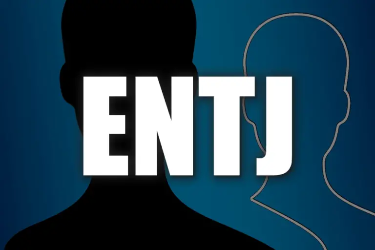 رابطه ENTJ و ENTJ در روابط بین تیپهای MBTI - خودشناس
