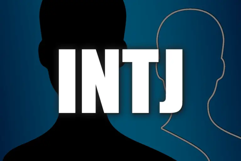 رابطه INTJ و INTJ در روابط بین تیپهای MBTI - خودشناس