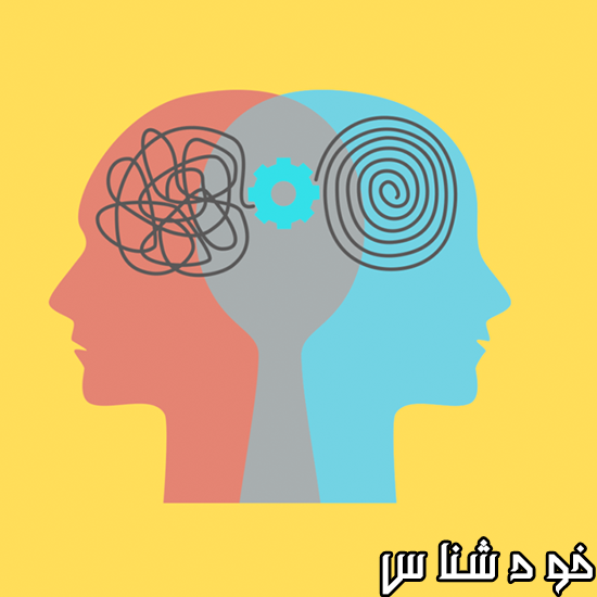 درون‌گرایی رفتاری در الگوهای رفتاری و شخصیتی DNA - خودشناس